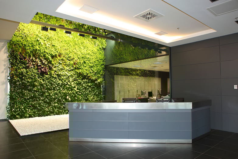 Nature increases well-being and creativity in offices