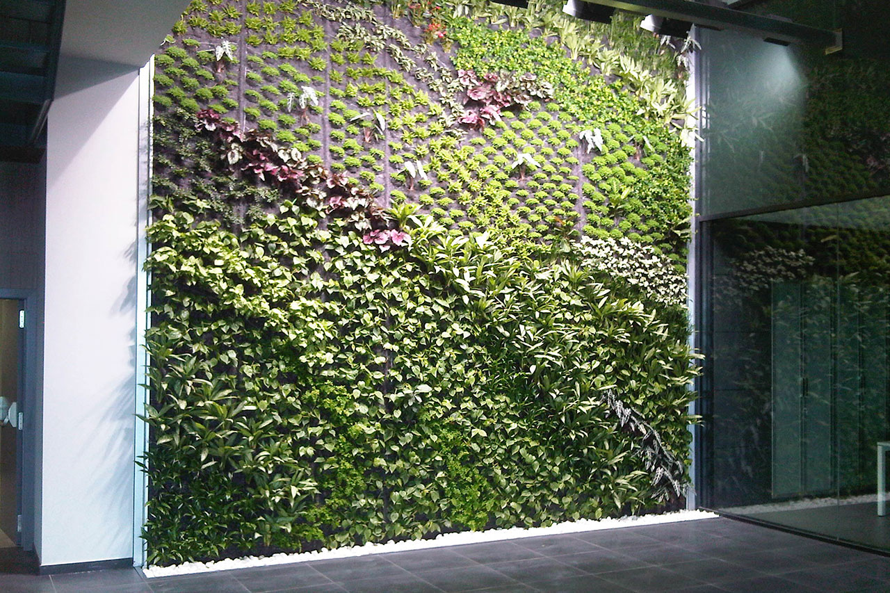 Nature increases well-being and creativity in offices