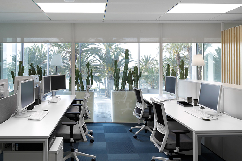 Padima - Proyectos Actiu